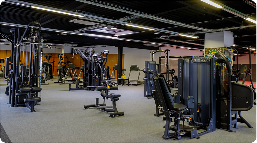 FIGHT'NESS GYM | Saint-Martin-d'Hères - 76 Avenue Gabriel Péri